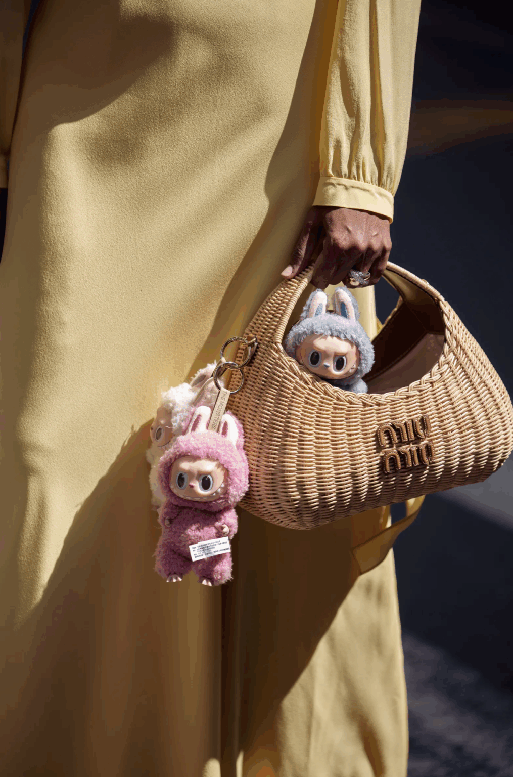 How Did Labubu Go Viral? The Celebrity-Favorite Toy That Became Fashion ...